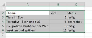 Tabellen formatieren in Excel - diese Möglichkeiten gibt es