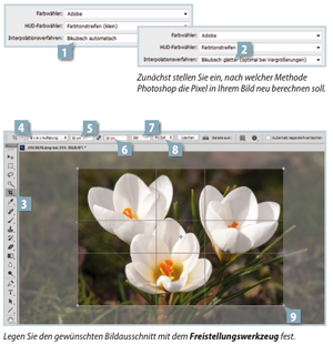 Wie Sie einen Bildausschnitt für den Druck vergrößern - computerwissen.de