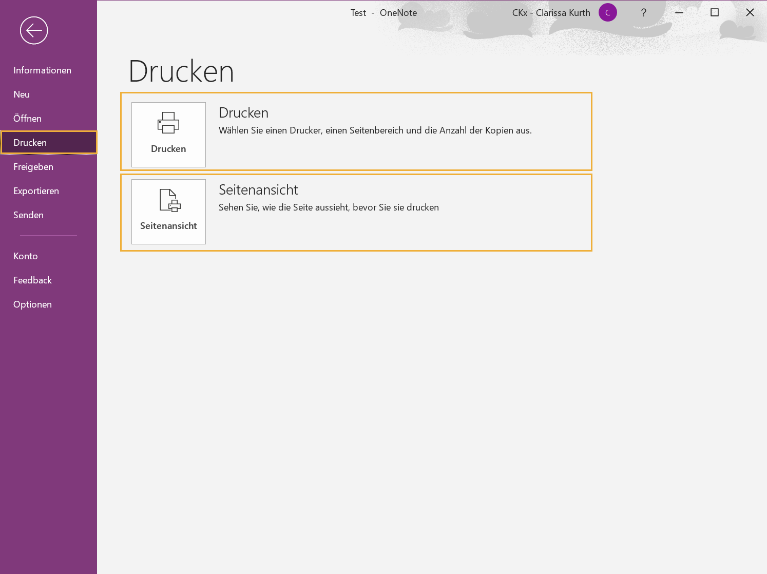 OneNote - Digitales Notizbuch von Windows 10 - computerwissen.de